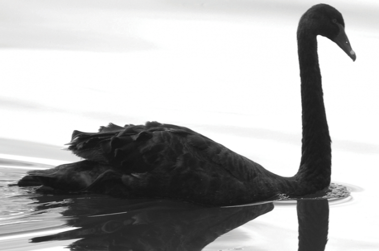 9 Black Swan Events that changed the Financial World | DataDrivenInvestor