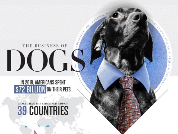 The Recession-Proof Business Of Dogs | DataDrivenInvestor