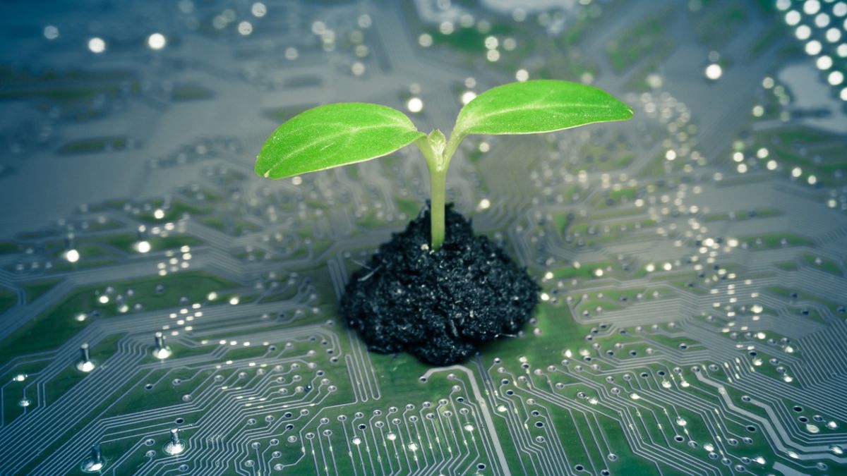 How To Be Nature Positive With Technology? | DataDrivenInvestor